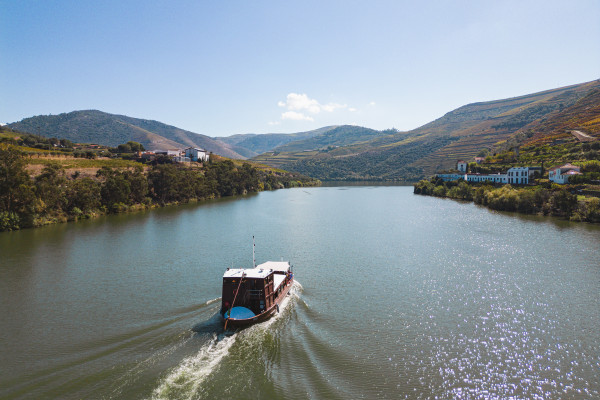 Cruise to Romaneira in Pinhão | 1 Hour of Douro Landscapes